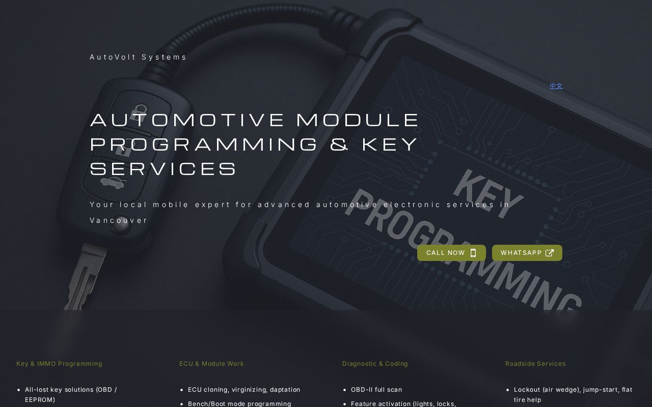 AutoVolt Systems